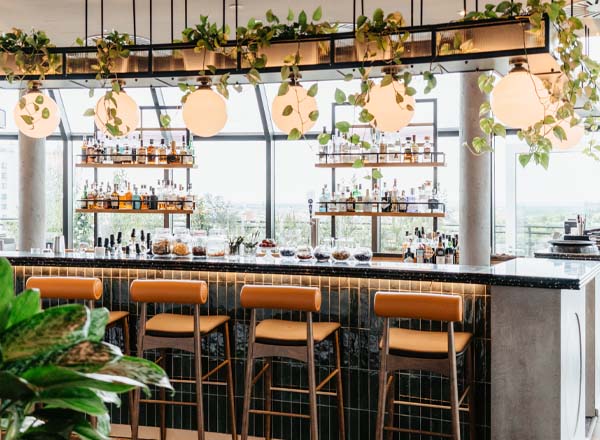 Bar Botanik - Rooftop bar in Cologne | The Rooftop Guide Bar Botanik - Rooftop bar in Cologne | The Rooftop Guide