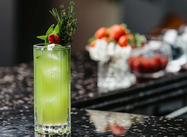 Bar Botanik - Rooftop bar in Cologne | The Rooftop Guide Bar Botanik - Rooftop bar in Cologne | The Rooftop Guide