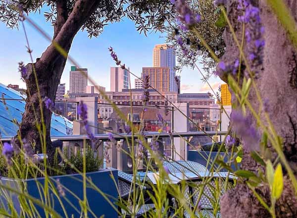 Angelica & Crafthouse - Rooftop bar in Leeds | The Rooftop Guide Angelica & Crafthouse - Rooftop bar in Leeds | The Rooftop Guide